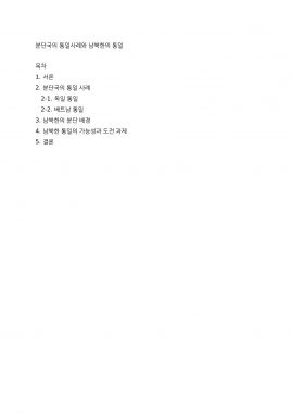 분단국의 통일사례와 남북한의 통일-1페이지