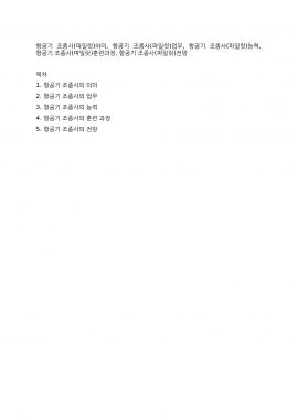 항공기 조종사(파일럿)의미, 항공기 조종사(파일럿)업무, 항공기 조종사(파일럿)능력, 항공기 조종사(파일럿)훈련과정, 항공기 조종사(파일럿)전망-1페이지