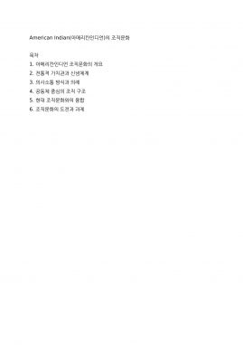 American Indian(아메리칸인디언)의 조직문화-1페이지