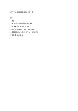 BC카드사의 데이터마이닝 사례연구-1페이지