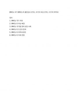 BRICs 국가 BRICs의 흥망성쇠 브릭스 국가의 부상 브릭스 국가의 하락세-1페이지