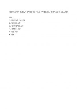 청소년상담연수 소감문, 직장체험소감문 ,직장연수체험소감문,사회봉사소감문,실습소감문-1페이지