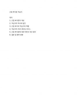 산업 복지론 적십자-1페이지