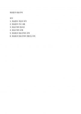 방송법과 방송규제-1페이지