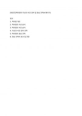 [레포트]맥라렌의 미션과 비전 정착 및 영상 전략(4페이지)-1페이지