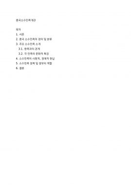 중국소수민족개관-1페이지