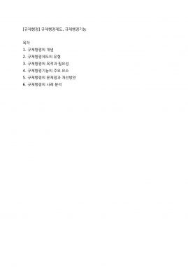 [규제행정] 규제행정제도, 규제행정기능-1페이지