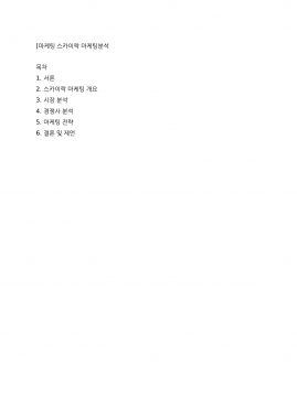 [마케팅 스카이락 마케팅분석-1페이지