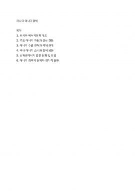 러시아 에너지정책-1페이지