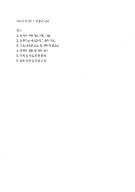 러시아 천연가스 배송관 사업-1페이지