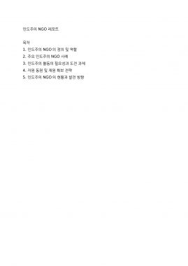인도주의 NGO 레포트-1페이지