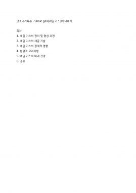 연소기기특론 - Shale gas[셰일 가스]에 대해서-1페이지