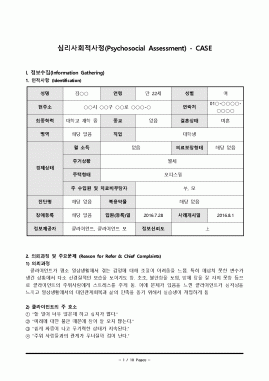 정신건강사회복지 심리사회적사정 본인 CASE-1페이지
