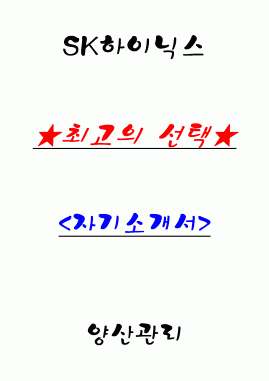 SK하이닉스 양산관리 자기소개서-1페이지
