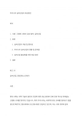 우리나라 실버산업의 육성방안-1페이지