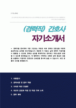 경력직 간호사 자기소개서 경력사항과 업무역량 업무윤리 등 강조한 자소서입니다-1페이지