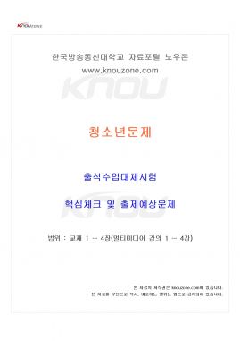 2025년 2학기 청소년문제 출석수업대체시험 핵심체크-1페이지