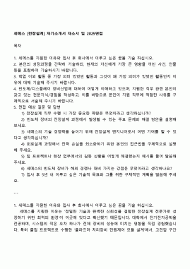 세메스 [전장설계] 자기소개서 자소서 및 2025면접-1페이지