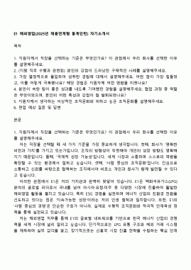 E1 해외영업(2025년 채용연계형 동계인턴) 자기소개서-1페이지