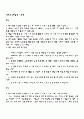 세메스 SW설계 자소서-1페이지
