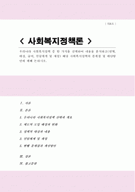 우리나라 사회복지정책 중 한 가지를 선택하여 내용을 분석하고 연혁 대상 급여 전달체계 및 재정 해당 사회복지정책의 문제점 및 대안방안에 대해 논하시오-1페이지
