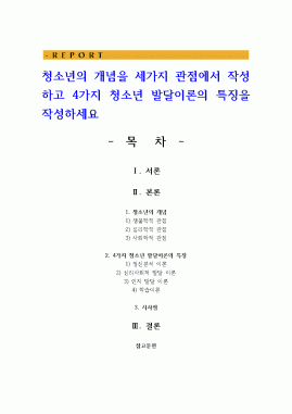 청소년의 개념을 세가지 관점에서 작성하고 4가지 청소년 발달이론의 특징을 작성하세요-1페이지