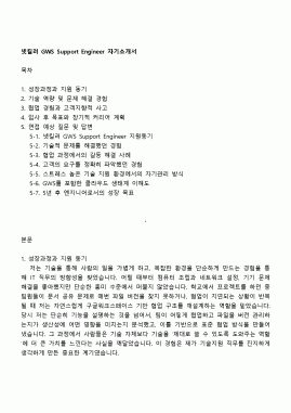 넷킬러 GWS Support Engineer 자기소개서-1페이지