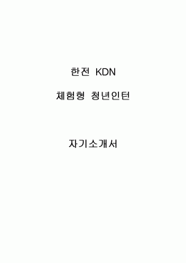 2023 한전 KDN 체험형 인턴 자기소개서-1페이지
