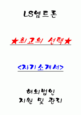 LS엠트론 해외법인 지원 및 관리 자기소개서-1페이지