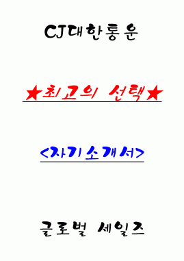 CJ대한통운 글로벌 세일즈 자기소개서-1페이지