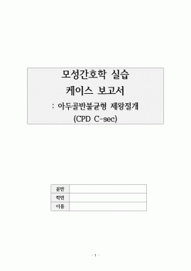 모성실습 케이스 CPD C-sec 간호과정-1페이지