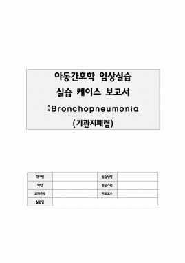 아동간호학실습_기관지폐렴 간호과정(문헌고찰 포함)-1페이지