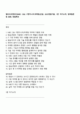 엠비씨씨앤아이(MBC C&I) IT엔지니어-1페이지