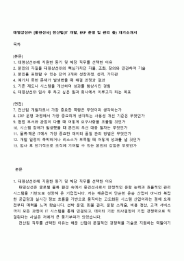 태영상선㈜ [중견선사] 전산팀(IT 개발, ERP 운영 및 관리 등) 자기소개서-1페이지