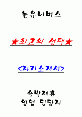놀유니버스 숙박제휴 영업 담당자 자기소개서-1페이지