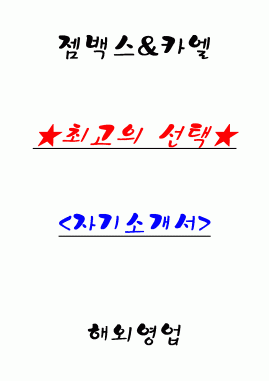 젬백스&카엘 해외영업 자기소개서-1페이지