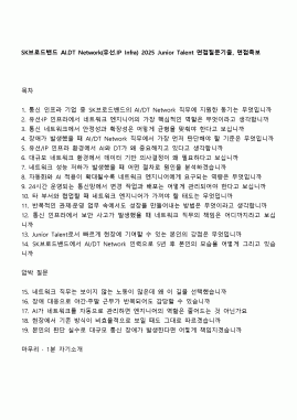 SK브로드밴드 AI-1페이지