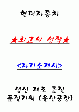 현대자동차 생산제조 품질 품질기획 (울산공장) 자기소개서-1페이지