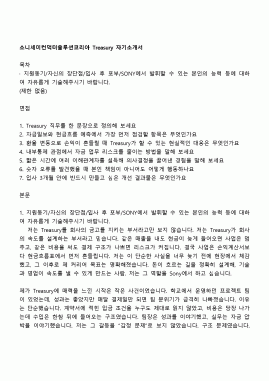 소니세미컨덕터솔루션코리아 Treasury 자기소개서-1페이지