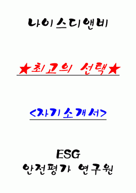나이스디앤비 ESG안전평가 연구원 자기소개서-1페이지