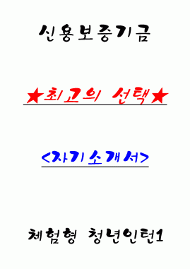 신용보증기금 체험형 청년인턴1 자기소개서-1페이지