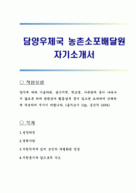 담양우체국 농촌소포배달원 자기소개서-1페이지