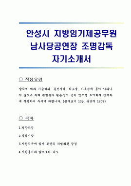 안성시 지방임기제공무원 남사당공연장 조명감독 자기소개서-1페이지