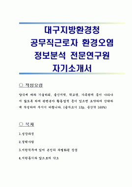 대구지방환경청 공무직근로자 환경오염 정보분석 전문연구원 자기소개서-1페이지