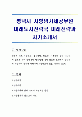 평택시 지방임기제공무원 미래도시전략국 미래전략과 자기소개서-1페이지