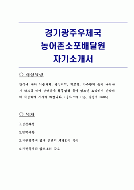 경기광주우체국 농어촌소포배달원 자기소개서-1페이지
