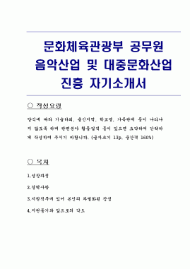 문화체육관광부 공무원 음악산업 및 대중문화산업 진흥 자기소개서-1페이지