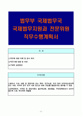 법무부 국제법무국 국제법무지원과 전문위원 직무수행계획서-1페이지