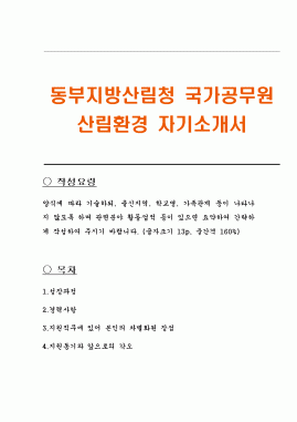 동부지방산림청 국가공무원 산림환경 자기소개서-1페이지