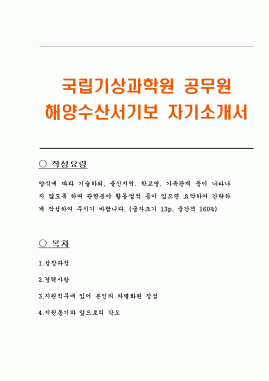 국립기상과학원 공무원 해양수산서기보 자기소개서-1페이지